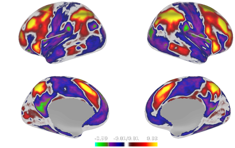 What is connectomics?