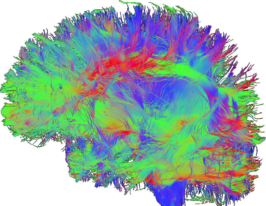 What are brain maps?