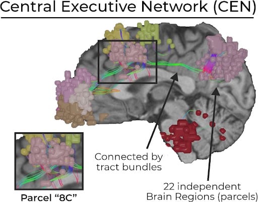 What are brain maps?