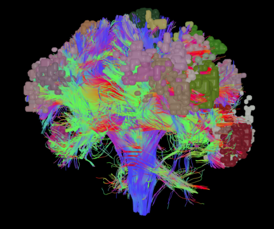 What is connectomics?